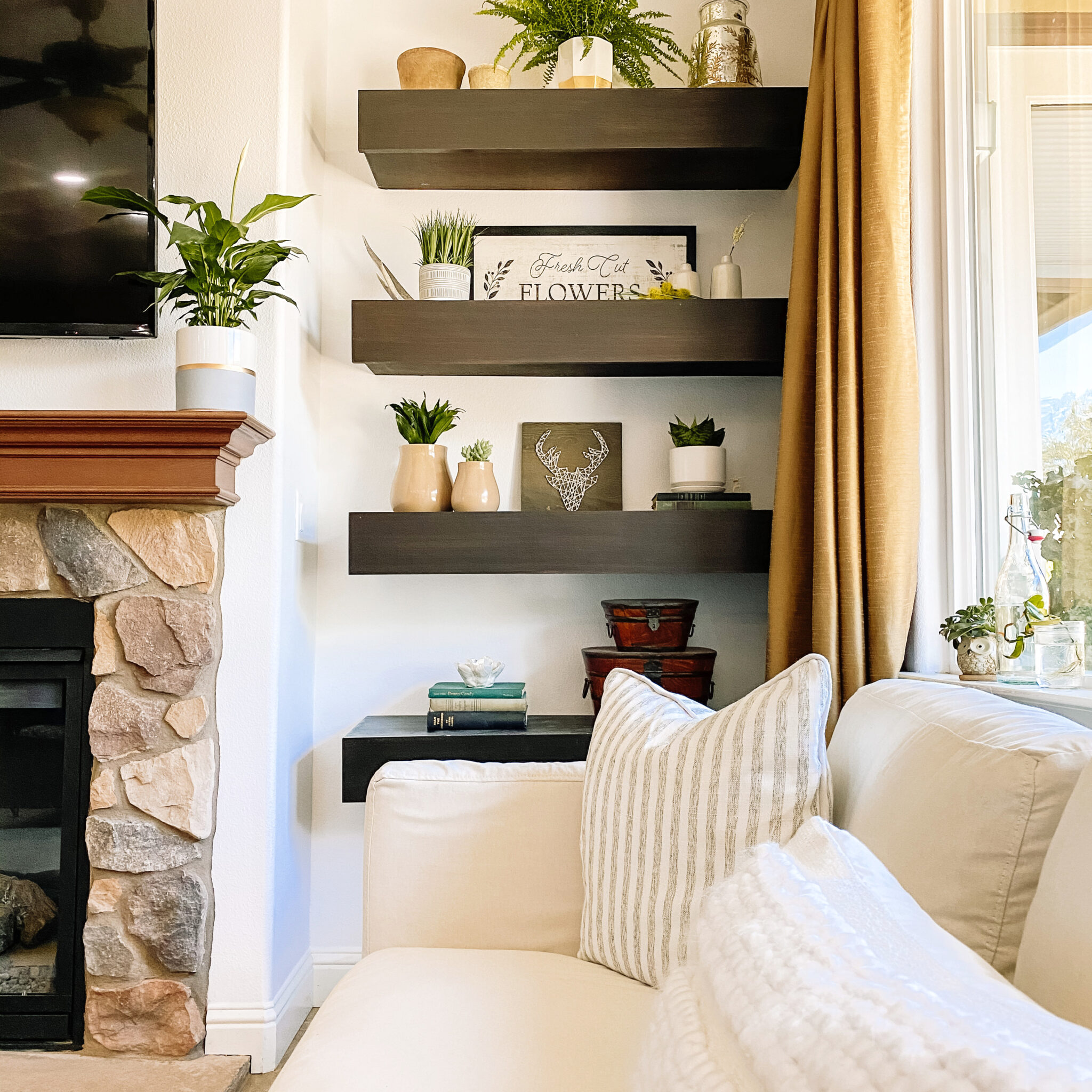 Best Owl Kitchen Decor For Owl Lovers - Hootshack