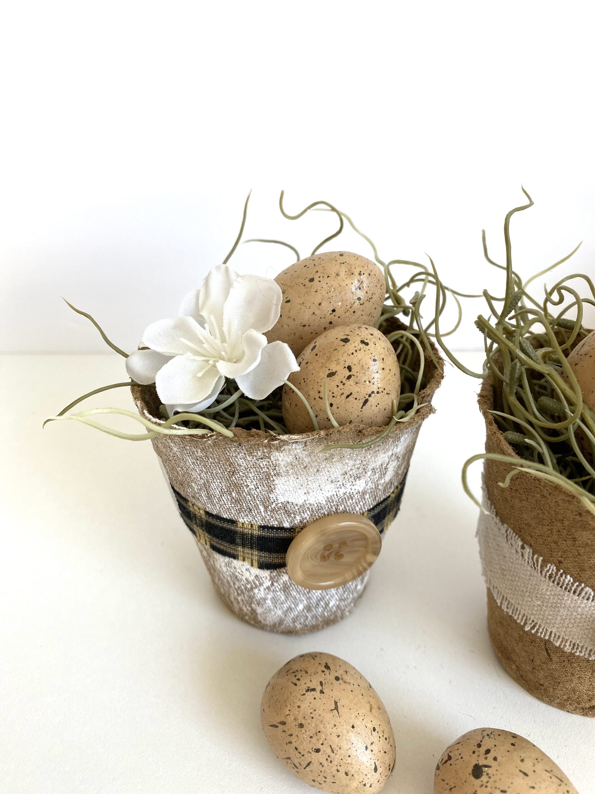 DIY Mini Flower Pots With Eggs - Hootshack