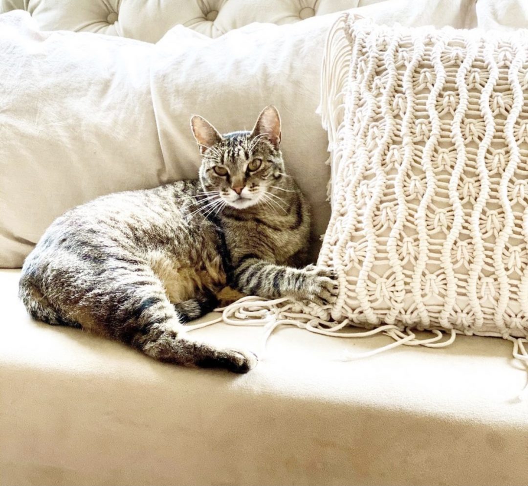 The Best Places To Buy Macrame Pillow Covers - Hootshack