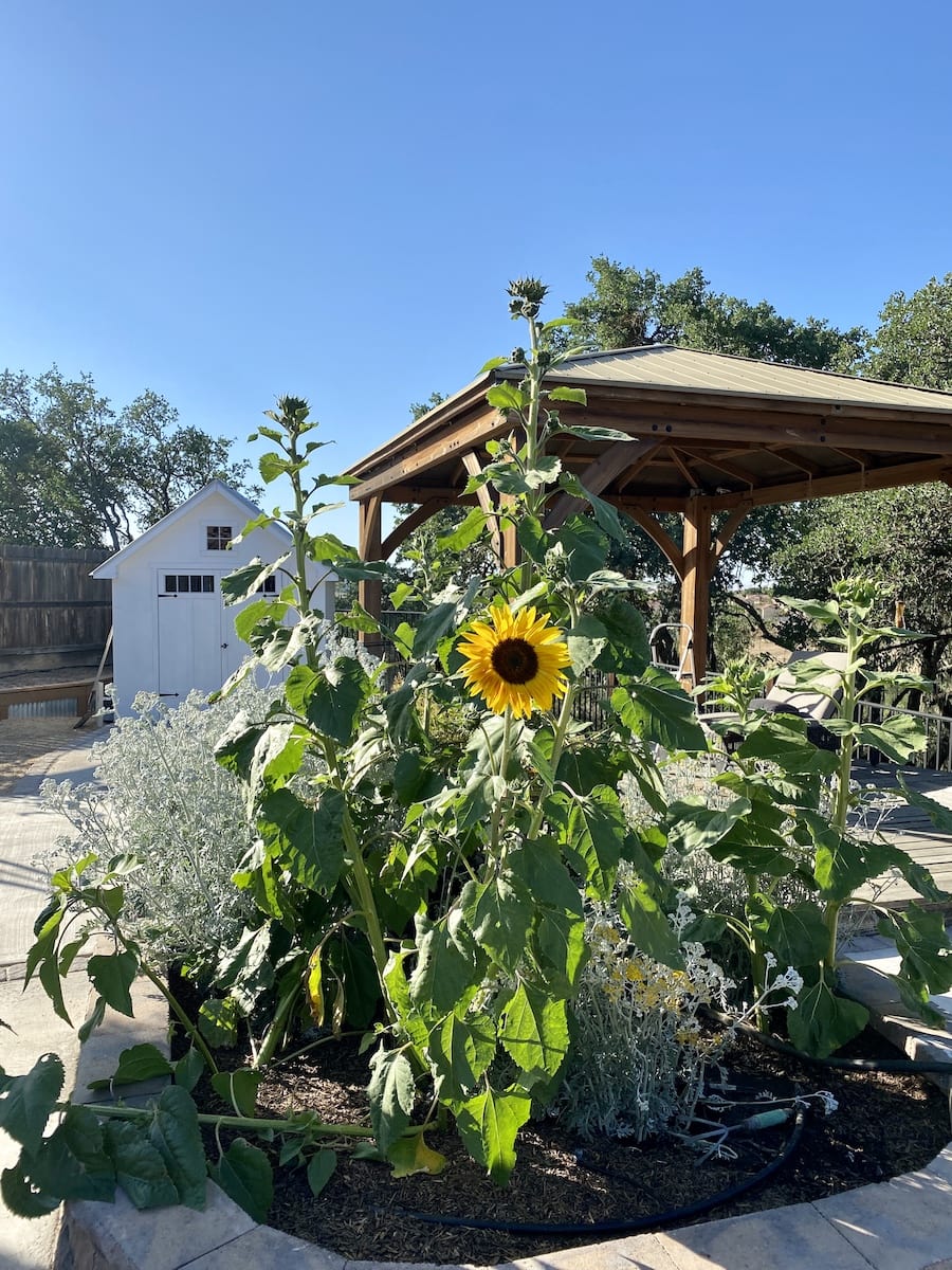 Easy Gnome Crafts To Make {Or Sell}: Tutorials Included!