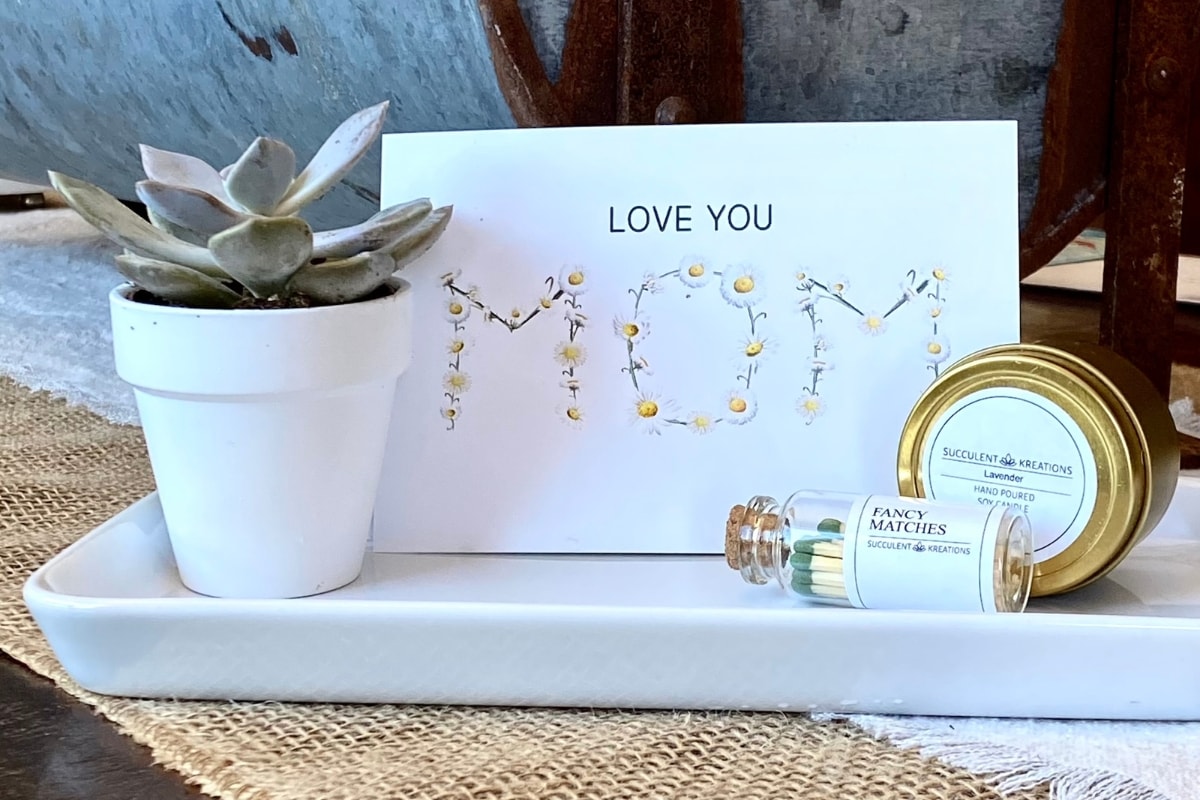 DIY Succulent Kits: Fun Gifts For Plant Lovers
