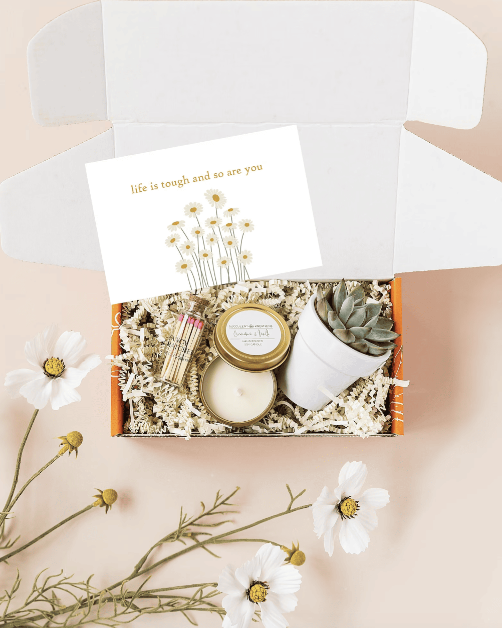 DIY Succulent Kits: Fun Gifts For Plant Lovers